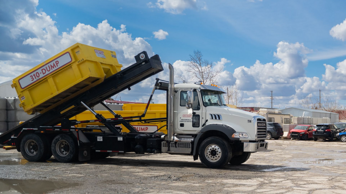 Seasonal Waste Management Strategies for Alberta Businesses - 310 DUMP